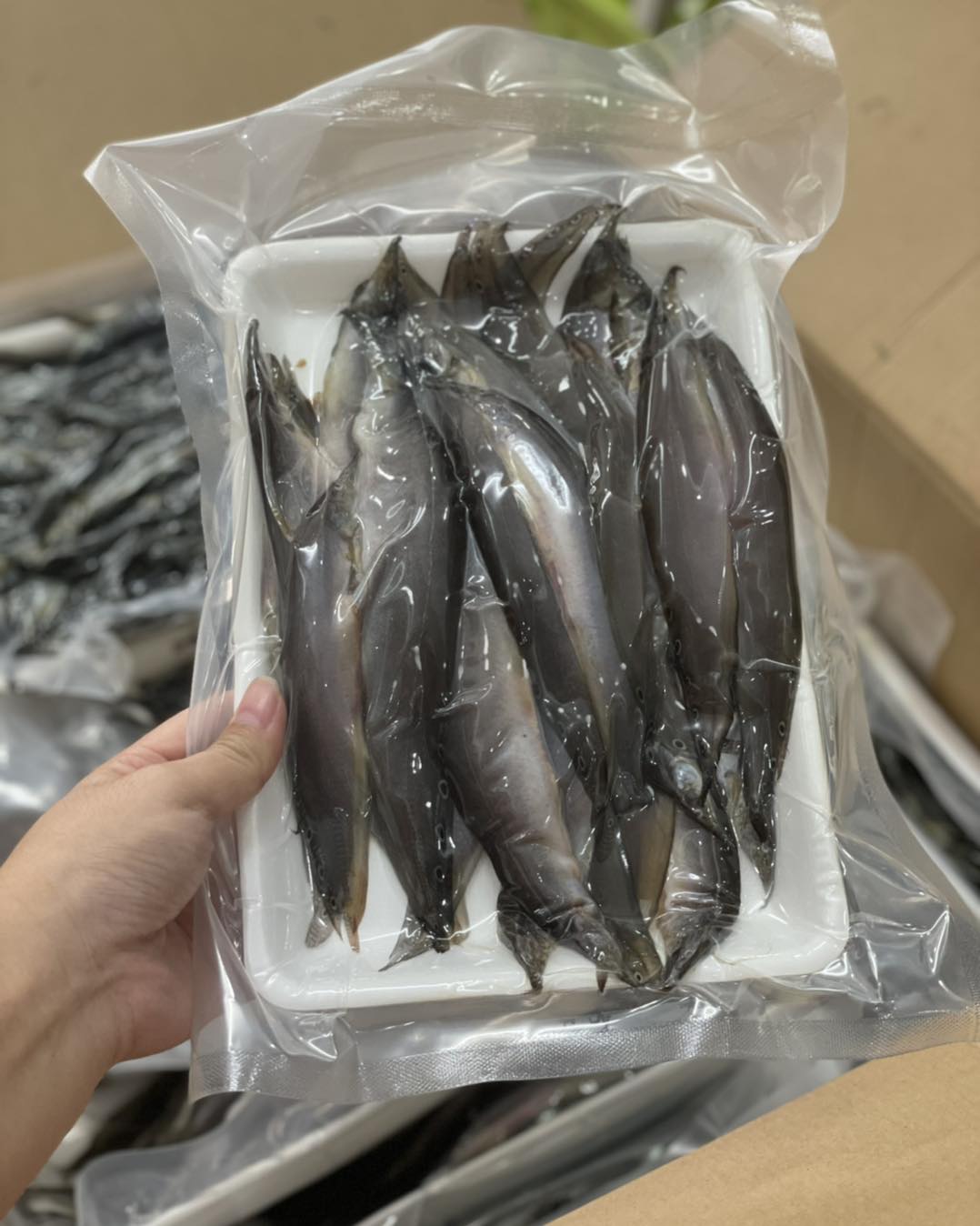 mắm cá trèn | Ăn Vặt Chị Mập